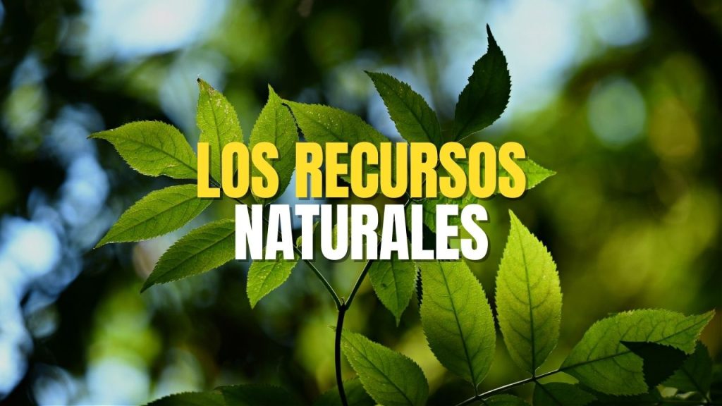⚡️ Los recursos naturales - Tareas Wiki
